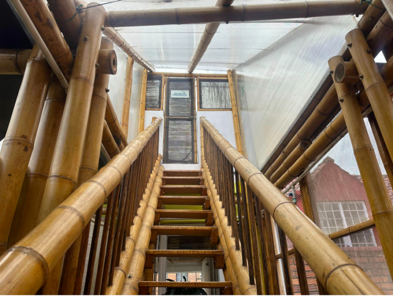 La Guadua: El Acero de la Naturaleza – FUNcener